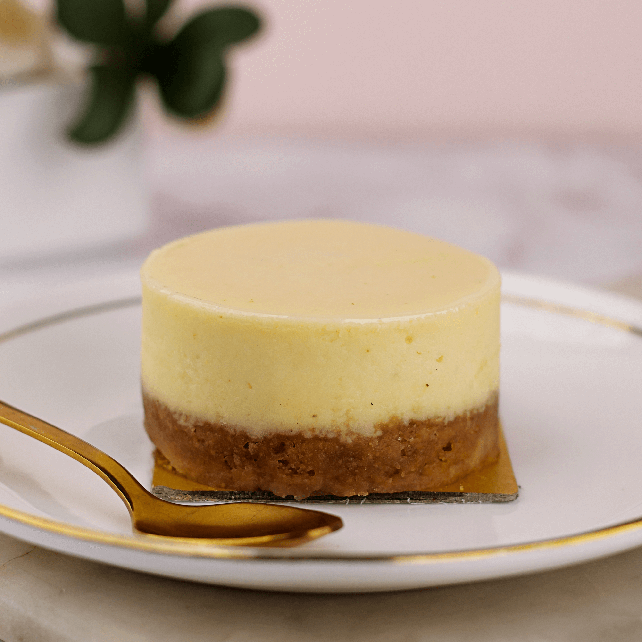 Mini Cheesecake - Classic – Frozen Bottle